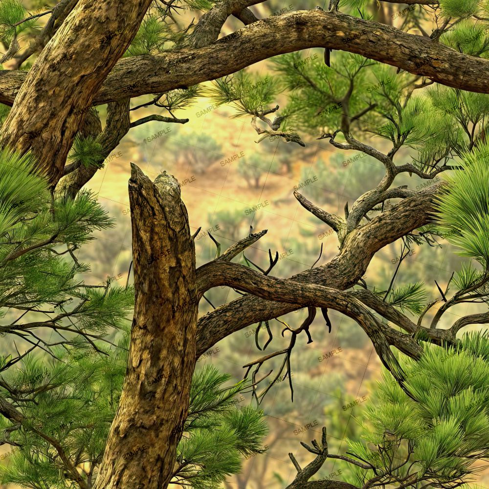 Texas Backcountry Camouflage 45 – Pattern Crew