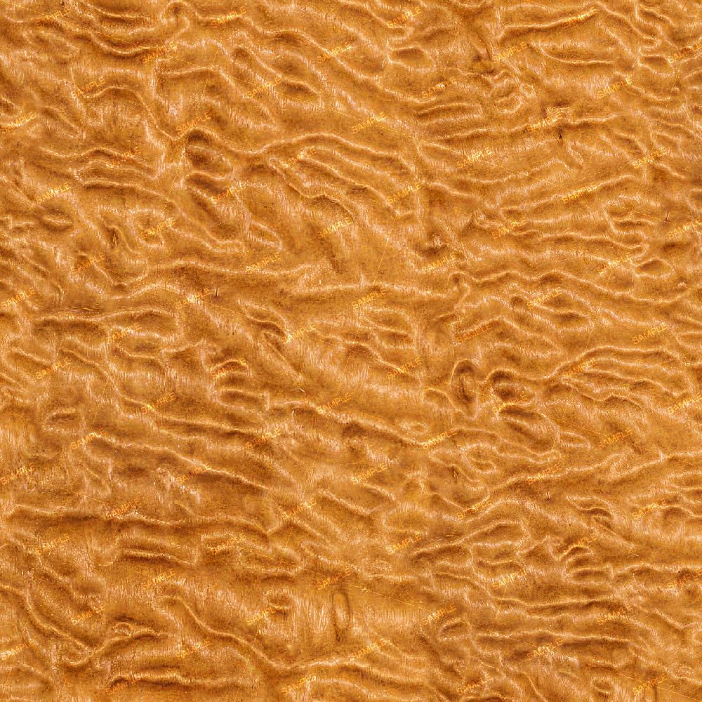 Curly Maple 42 – Pattern Crew