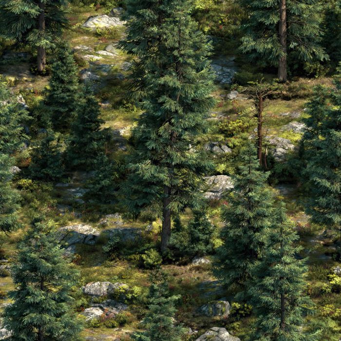 Colorado Forest – Pattern Crew